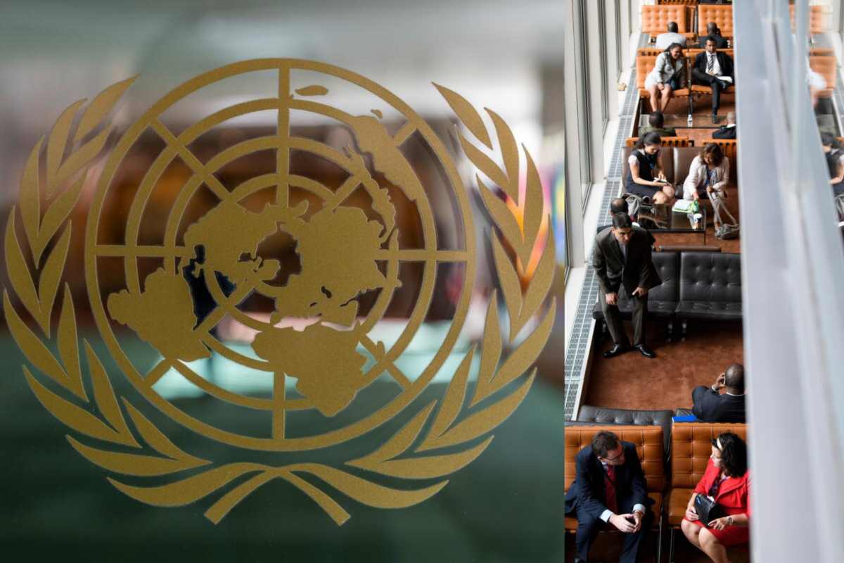 UN – United Nations Staff and Member Verification